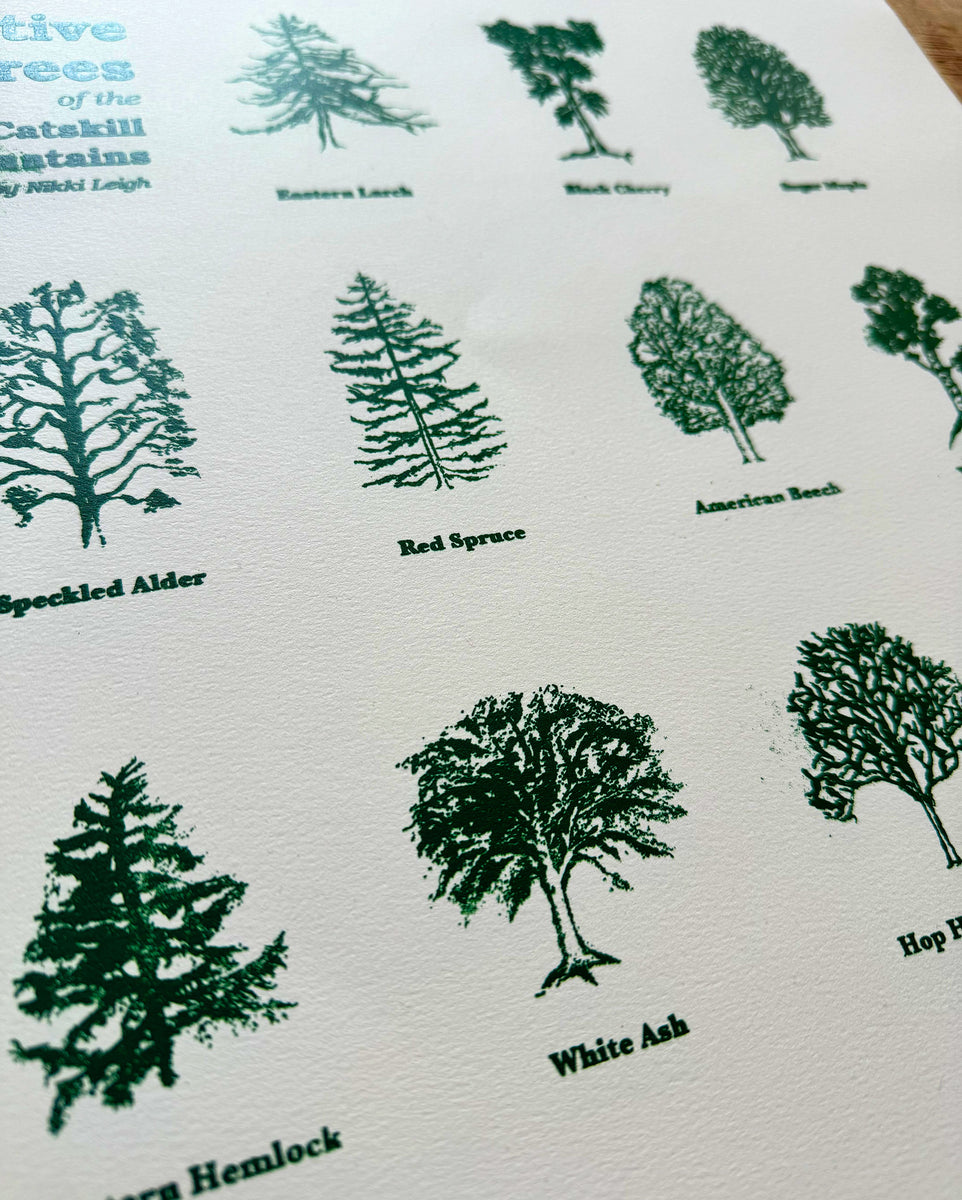 Native Trees of The Catskills Poster – Catskill Outpost