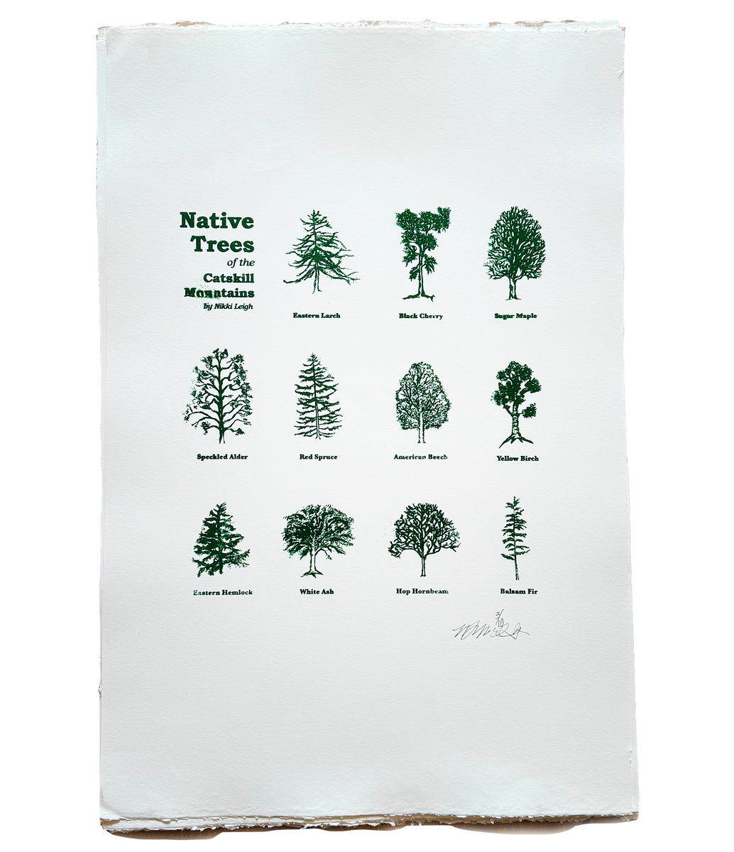 Native Trees of The Catskills Poster – Catskill Outpost